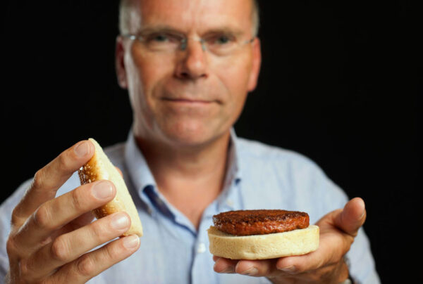 Test-Tube Burgers: Holy Cow?